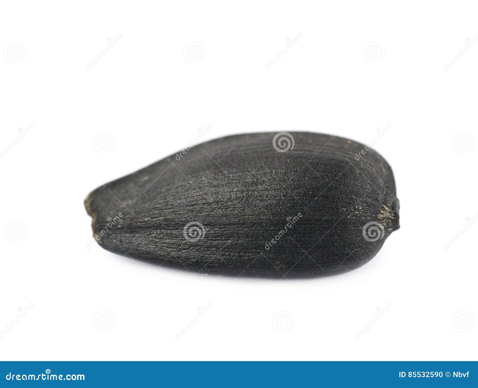 Single Sunflower Seed Isolated Stock Photo - Image of healthy, snack ...