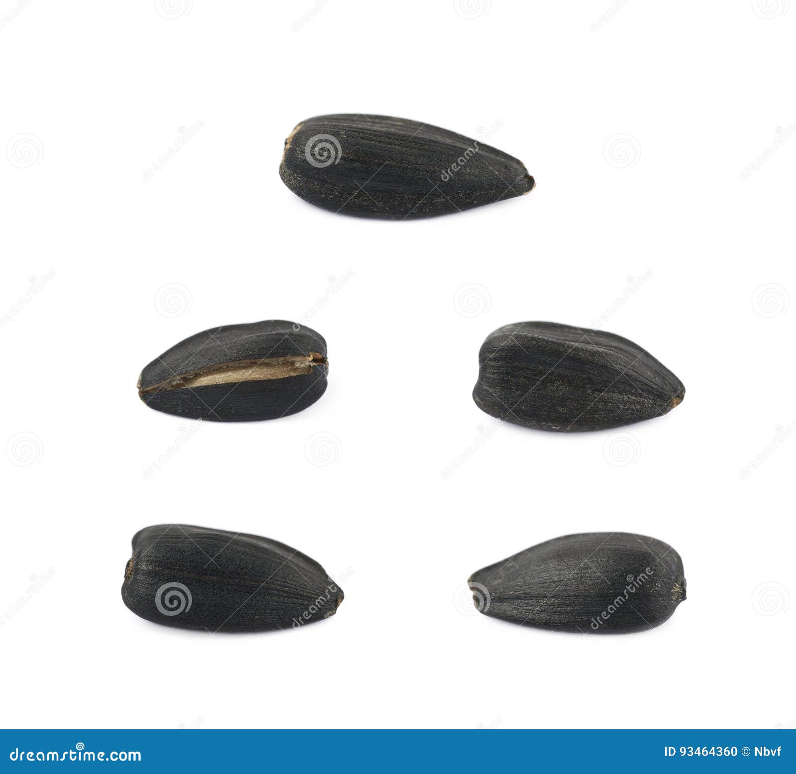 Single Sunflower Seed Isolated Stock Photo - Image of nutrition, shell ...