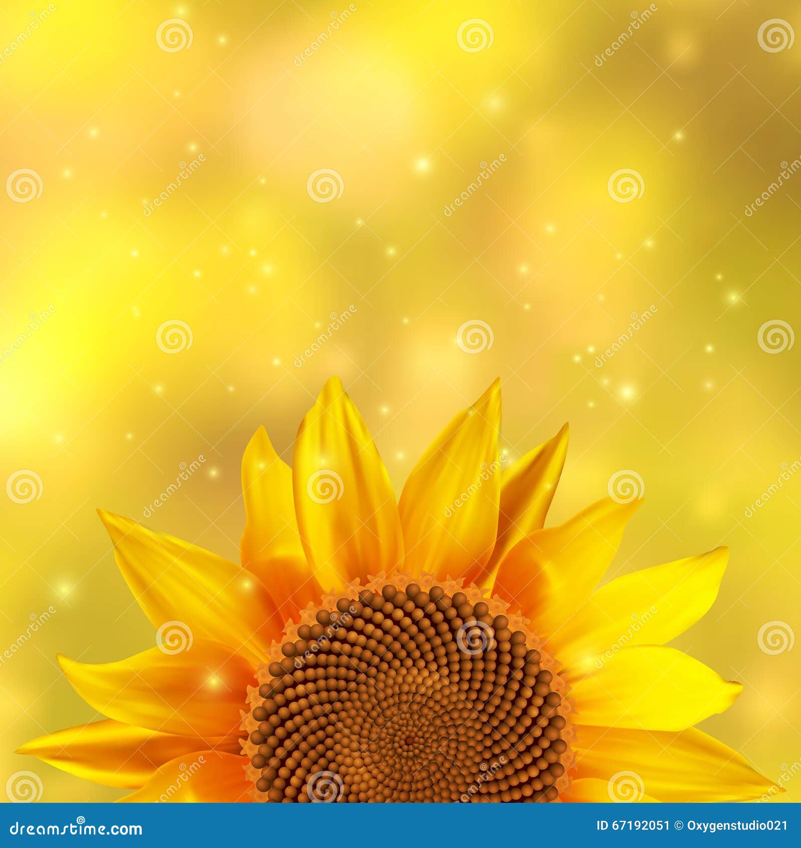 Single Sunflower Simple Vector Line Illustration. One Line Art Drawing ...