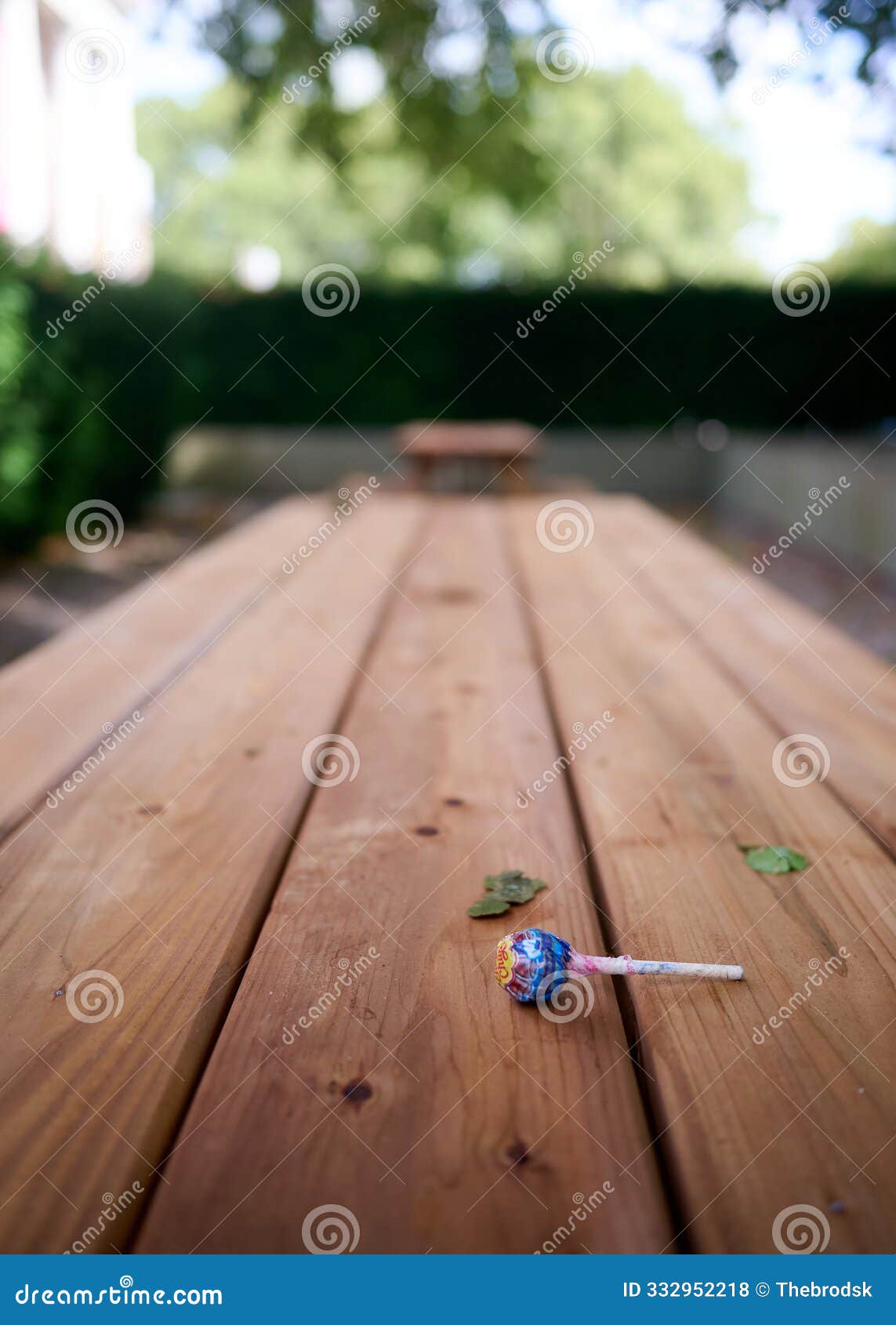 Bench And Picnic Table At Crystal Cove State Park Beach Editorial Photo ...