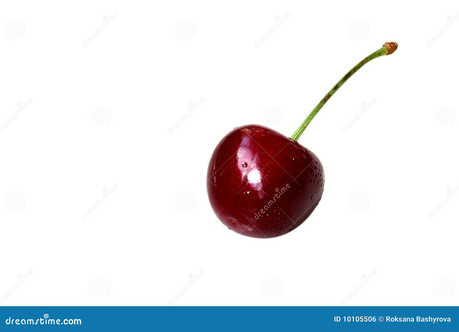 Single sweet cherry stock photo. Image of juicy, branch - 10105506