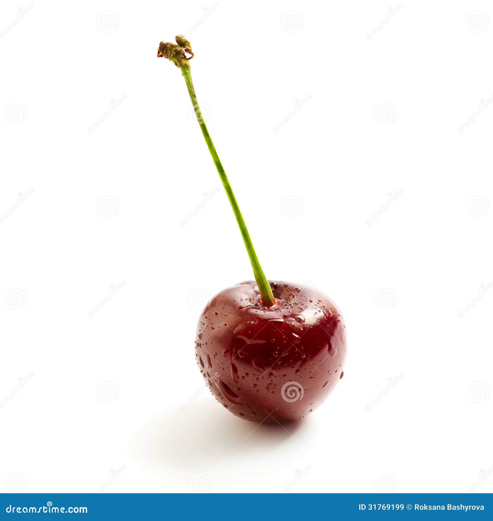 Single sweet cherry stock image. Image of macro, dessert - 31769199
