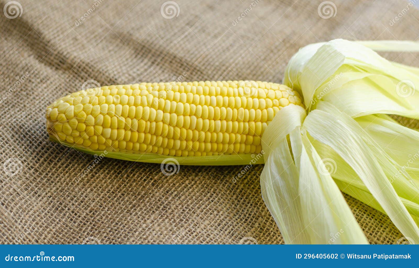Single Sweet Corn Cob on Brown Sackcloth Background. Side View Stock ...