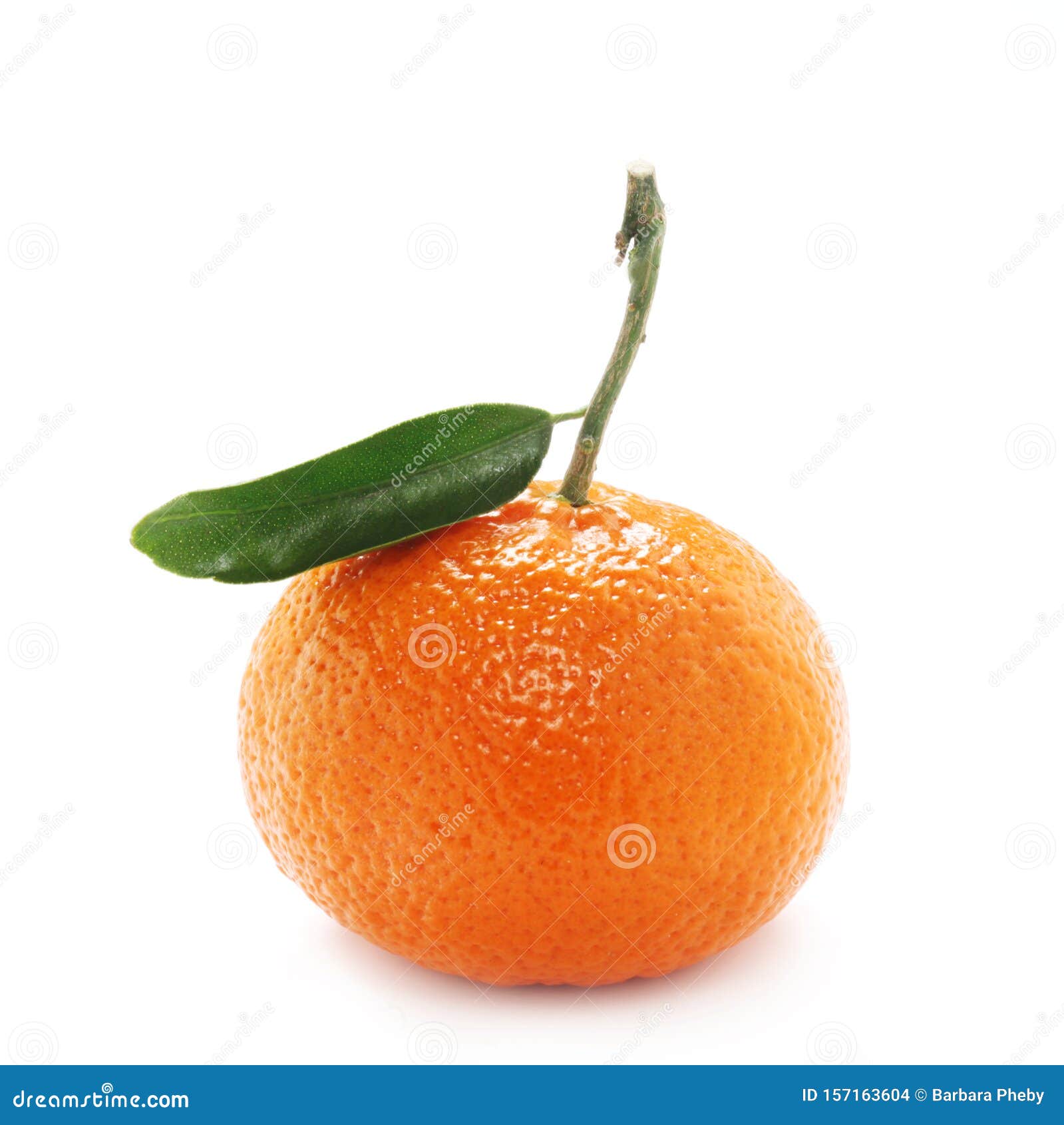 Tangerine stock photo. Image of healthy, citrus, eating - 157163604