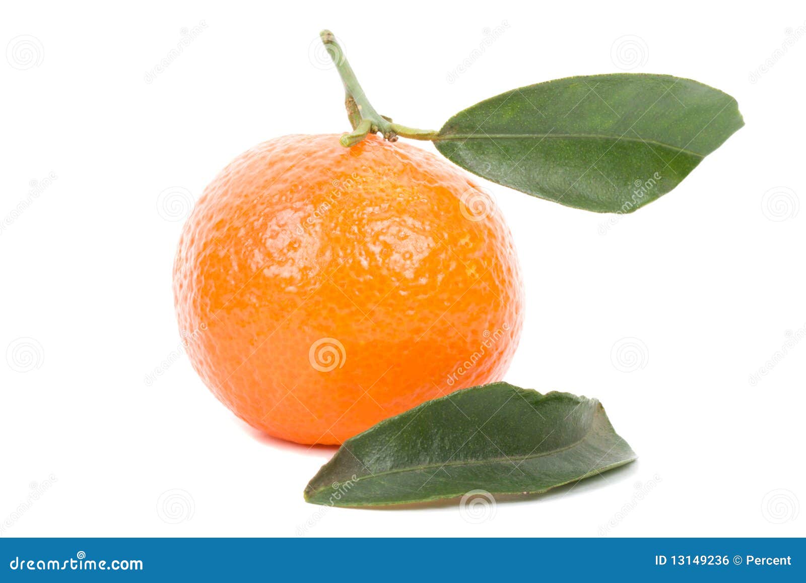 Single Tangerine with Leaves Stock Photo - Image of orange, mandarin ...