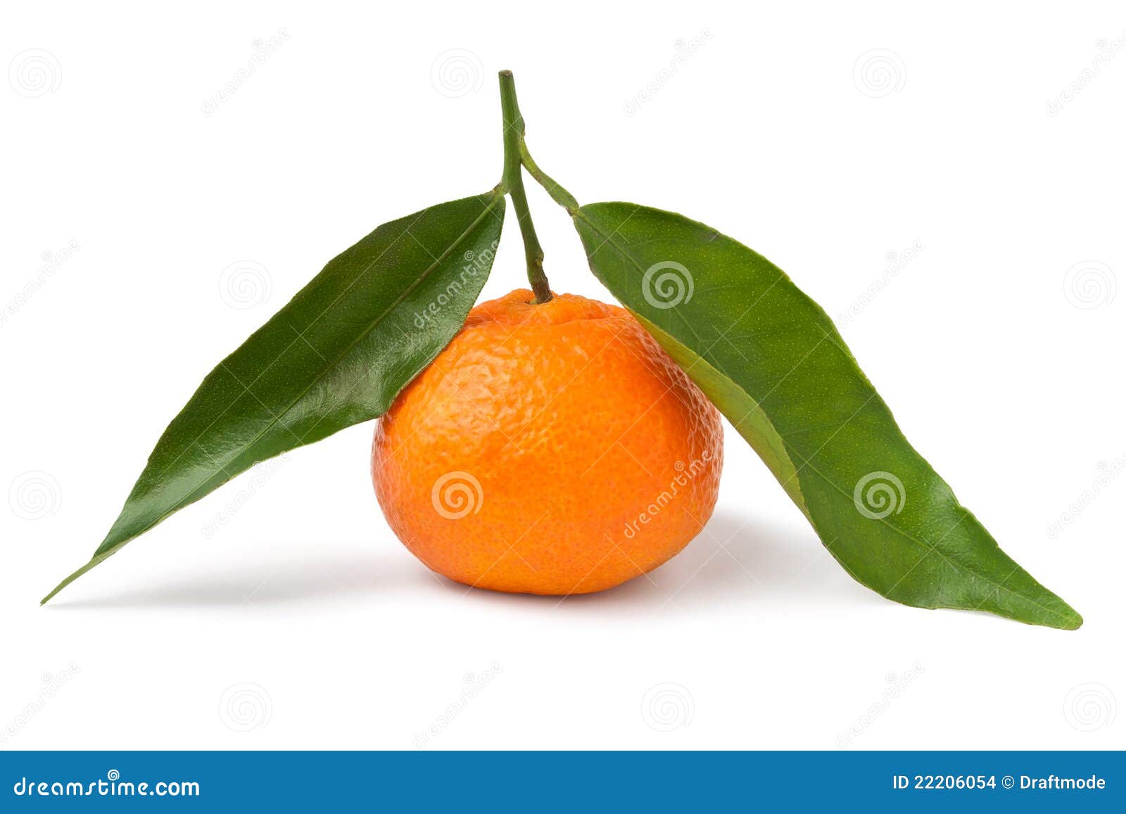 Single Tangerine with Leaves Stock Photo - Image of orange, circle ...
