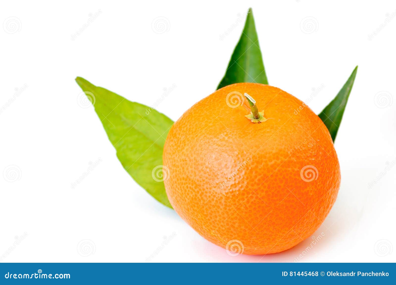 Single Tangerine or Mandarin Isolated Stock Photo - Image of citrus ...