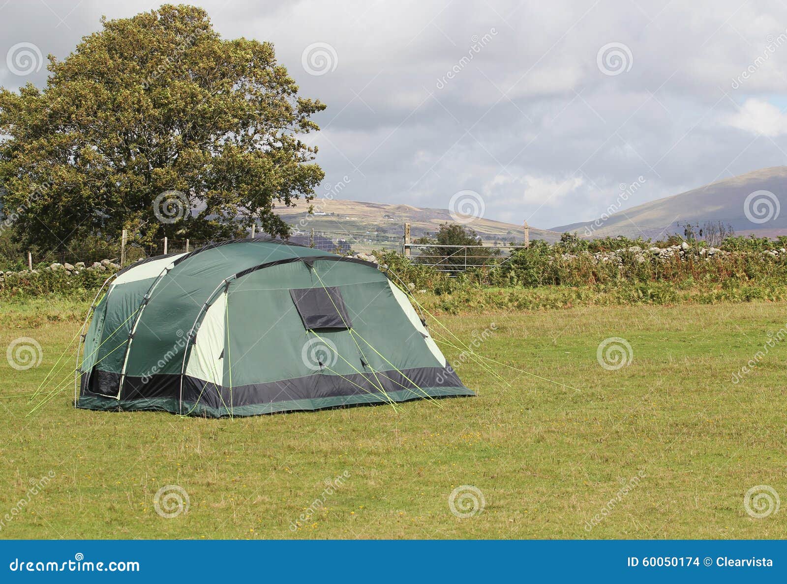 Single Tent in a Field for Camping. Stock Photo - Image of field, trees ...