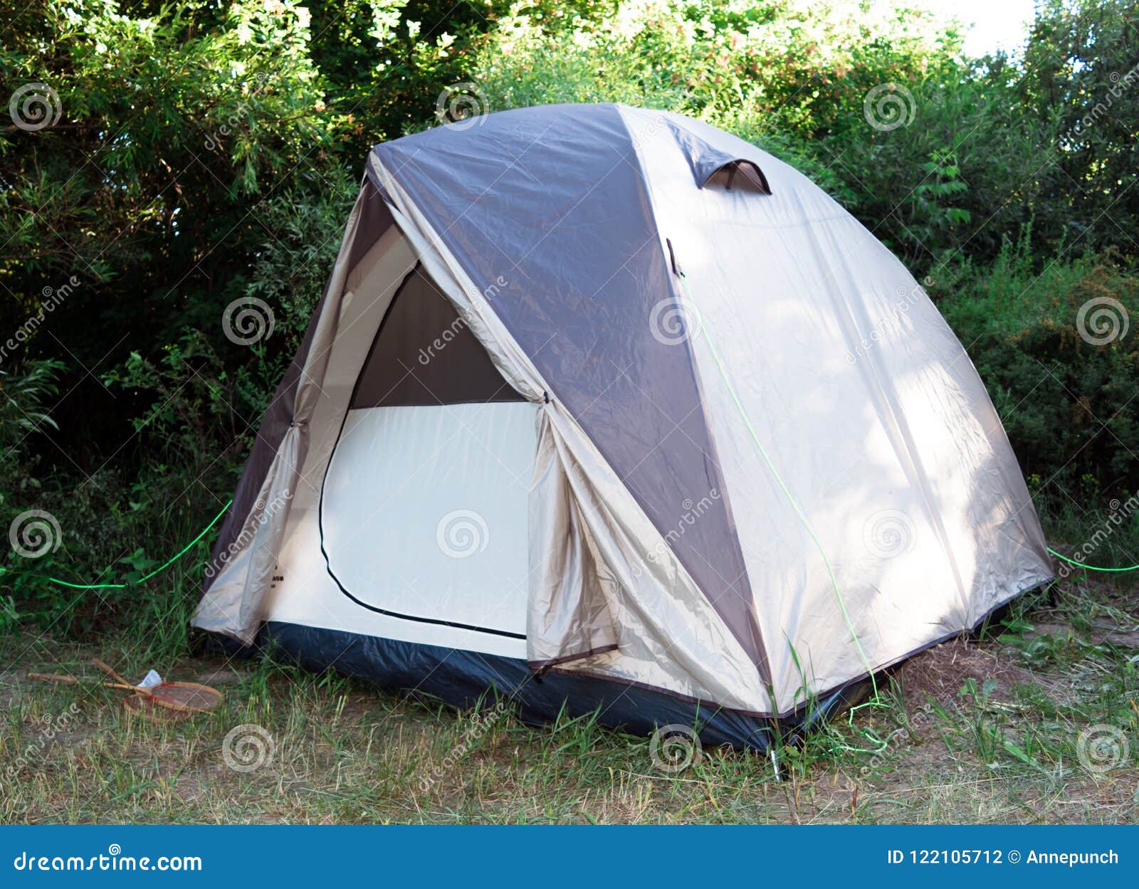 Single Tent Standing in the Forest. Stock Photo - Image of dome ...
