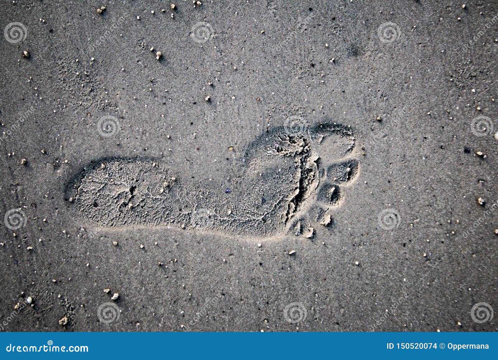 Single Textured Footprint in Sand Stock Photo - Image of clear ...