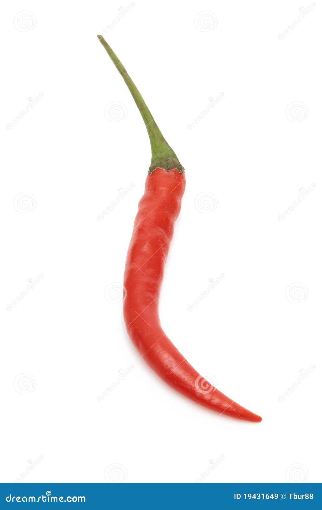 A Single Thai Pepper Isolated on White Stock Image - Image of isolated ...