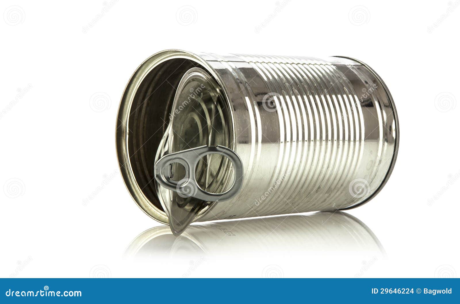 Single tin can stock photo. Image of meal, aluminium - 29646224