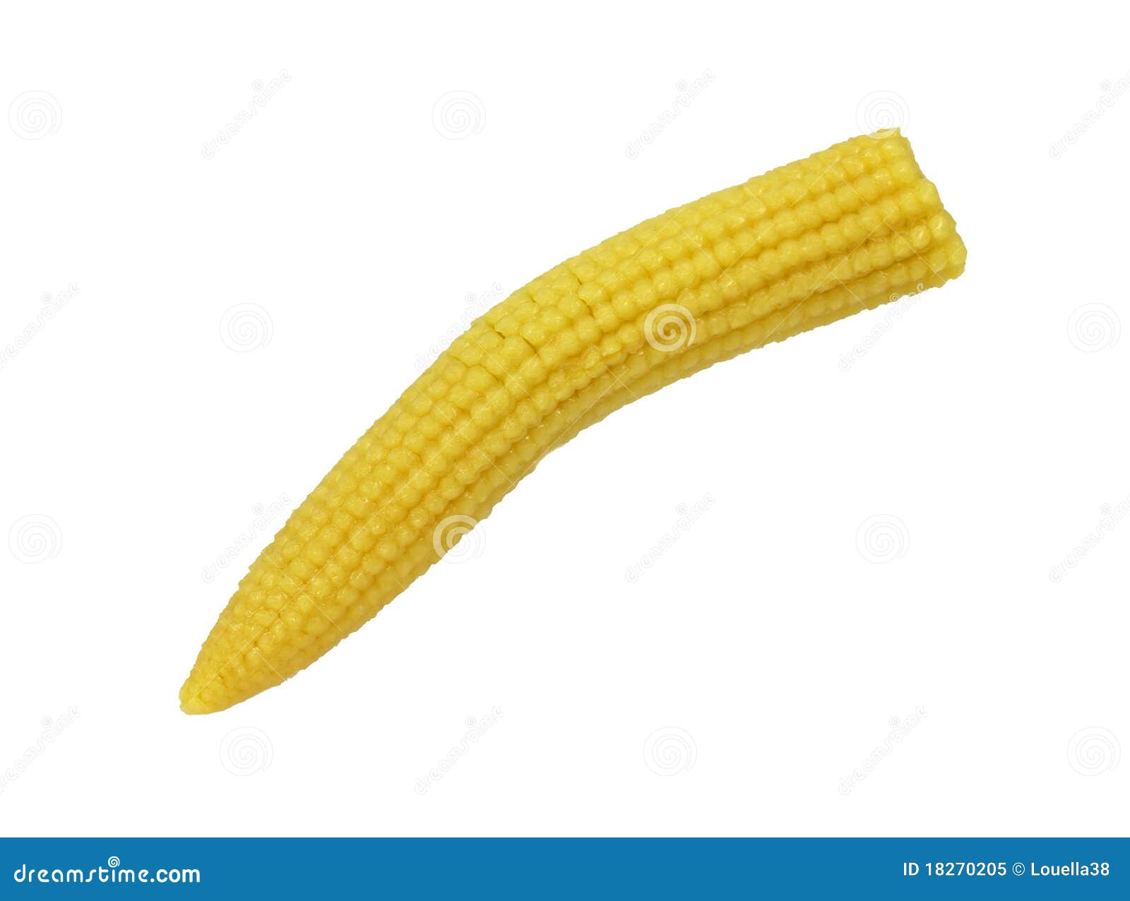 Single Tiny Limp Corn Cob stock image. Image of preserved - 18270205