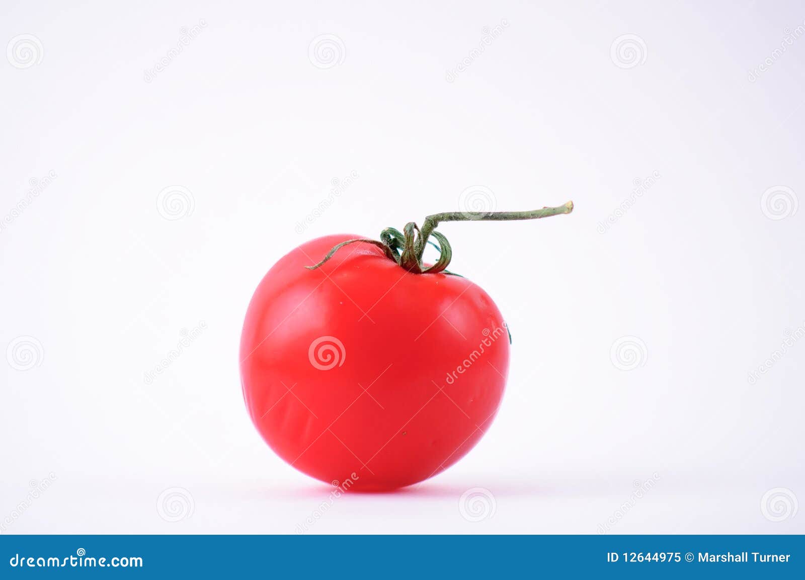 Single Tomato stock image. Image of salad, gravy, tomatos - 12644975