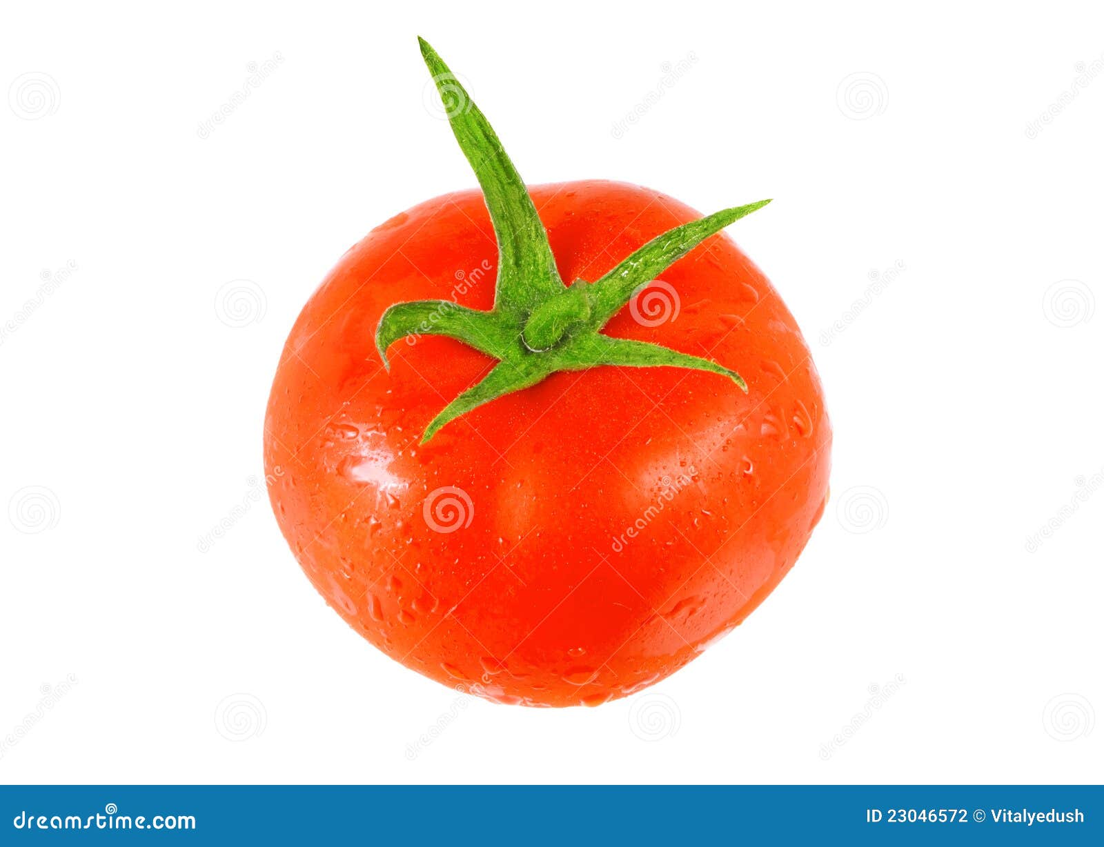 Single Tomato Stock Photography - Image: 23046572