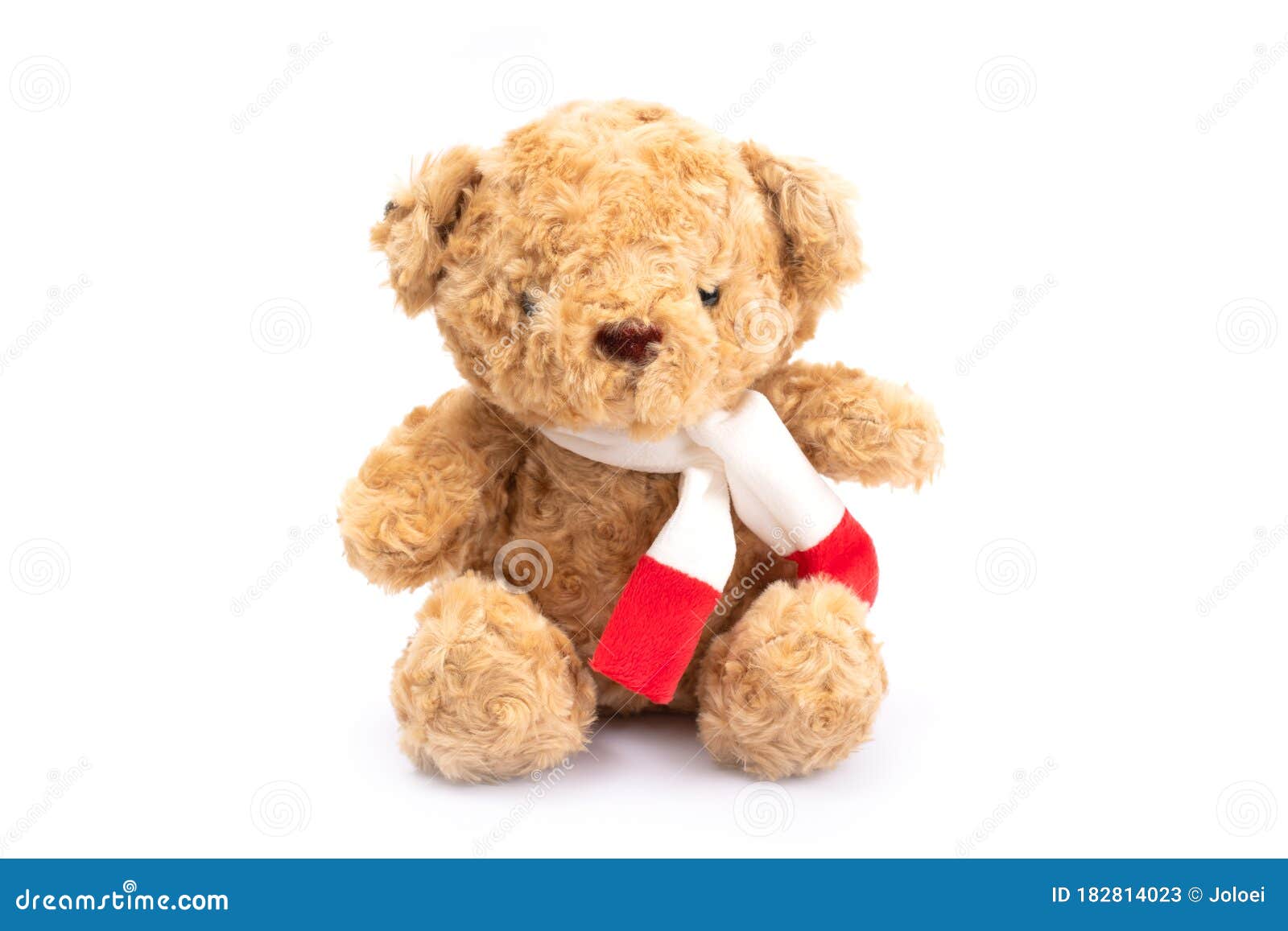 Single toy teddy bear stock image. Image of background - 182814023