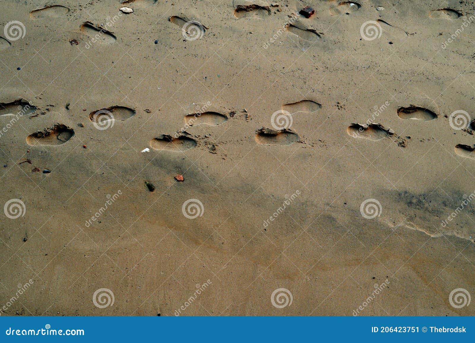 Single track of footsteps stock image. Image of bank - 206423751