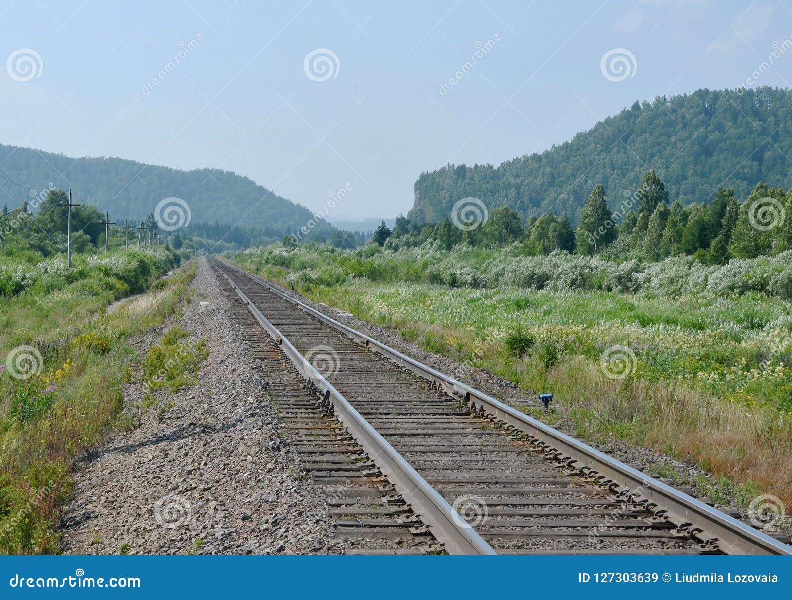 Single-track Railway on the Background of Wooded Mountains Stock Image ...