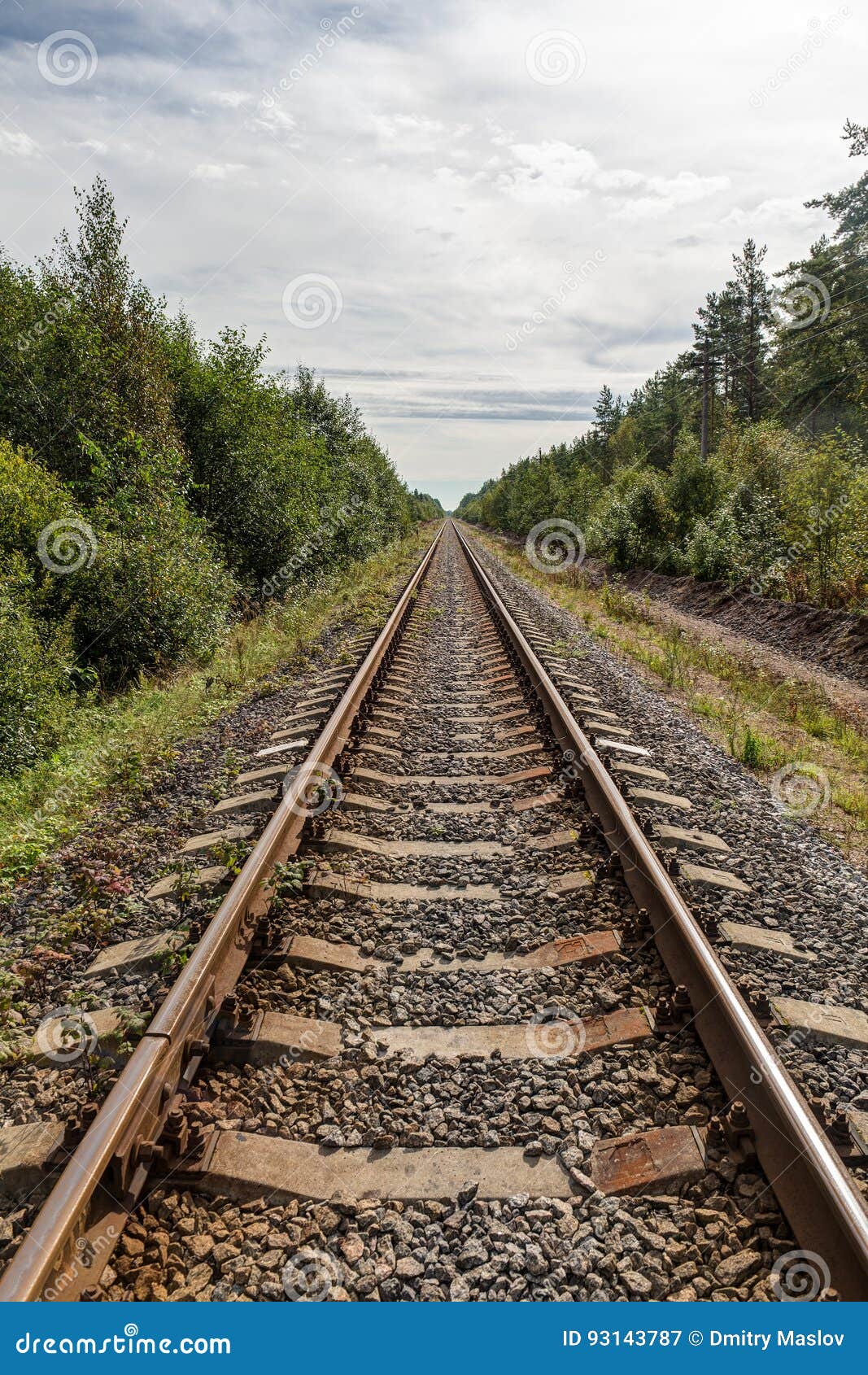 Single-track Railway in the Forest Stock Image - Image of railway ...