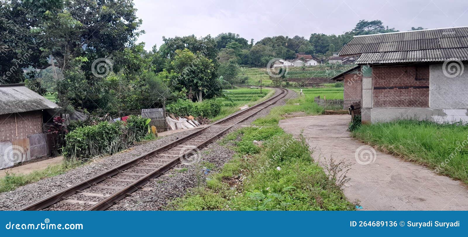 Single track train stock photo. Image of morning, track - 264689136