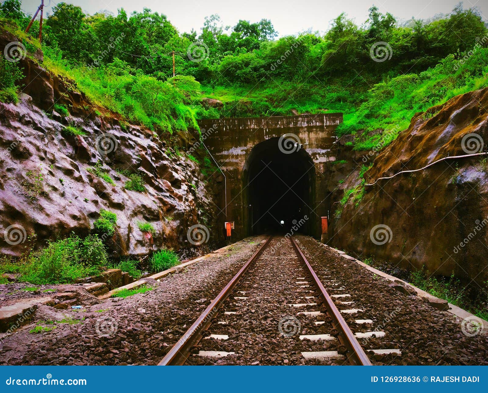 Train Tunnel passage stock photo. Image of single, train - 126928636