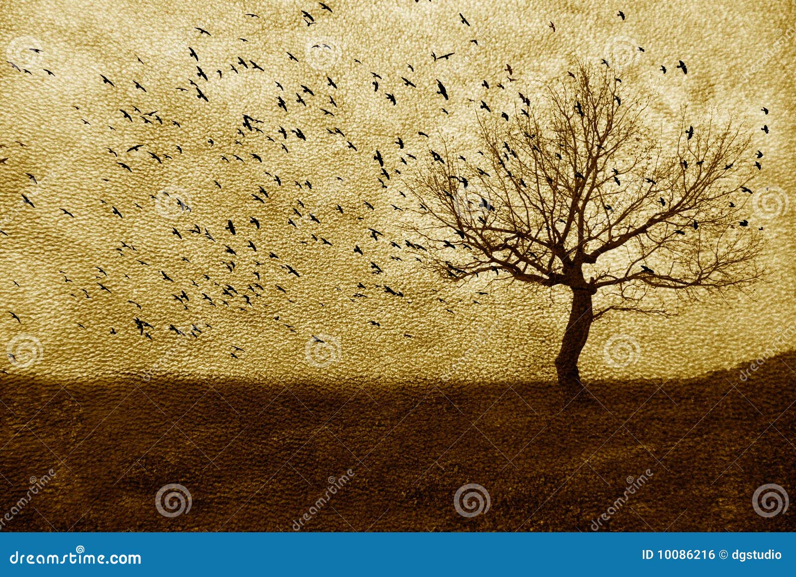 193 Tree Covey Stock Photos - Free & Royalty-Free Stock Photos from ...