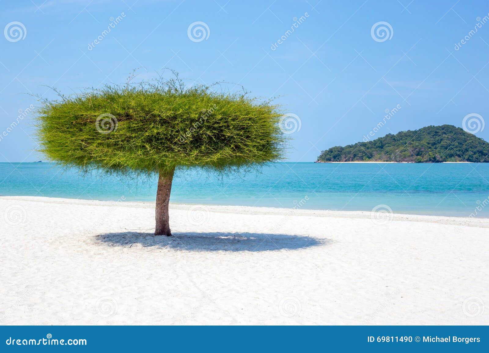 Single Tree on a Beach in Malaysia Stock Photo - Image of summer ...