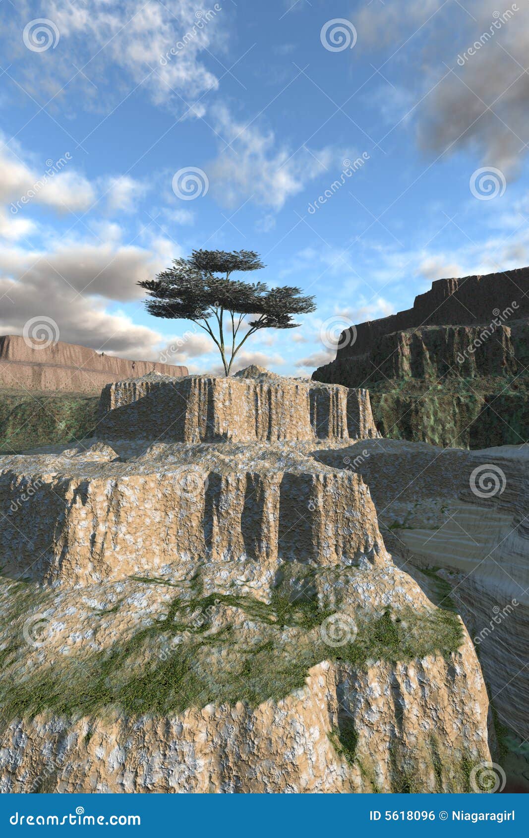 Single Tree on Canyon Ledge Stock Illustration - Illustration of rocks ...