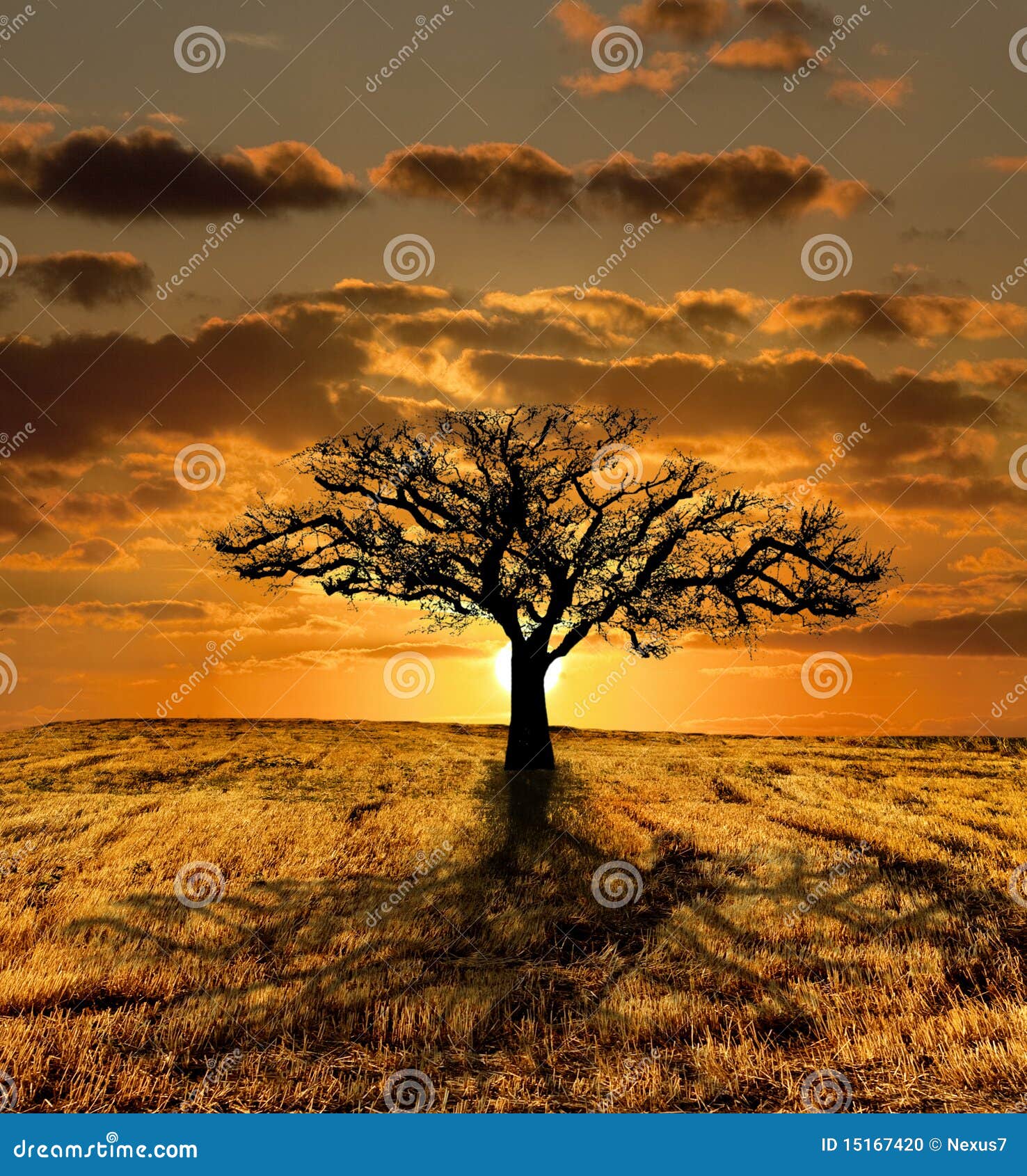 Single Tree Horizontal Stock Photo | CartoonDealer.com #15824010