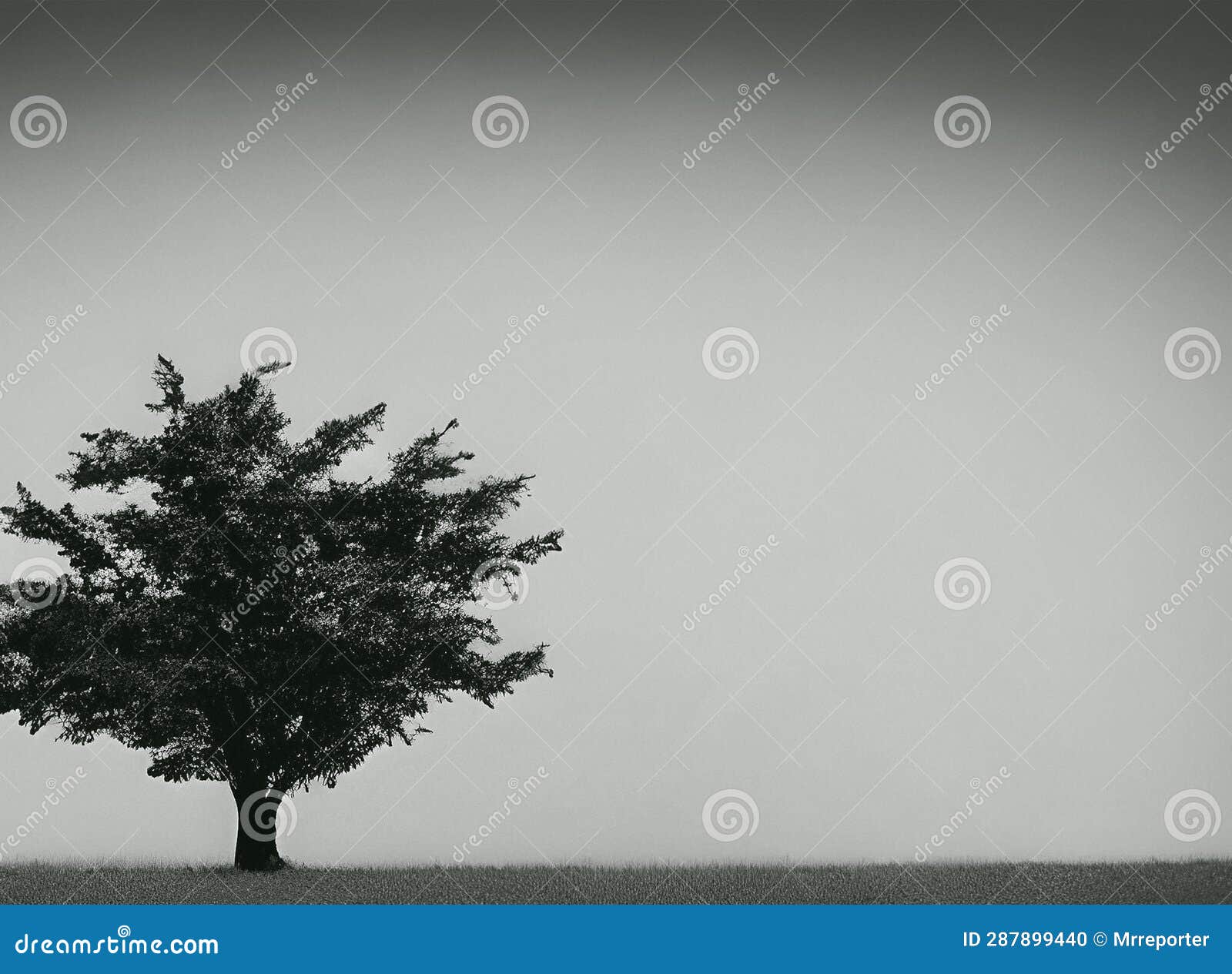Single Tree in Field. AI Generated Stock Illustration - Illustration of ...