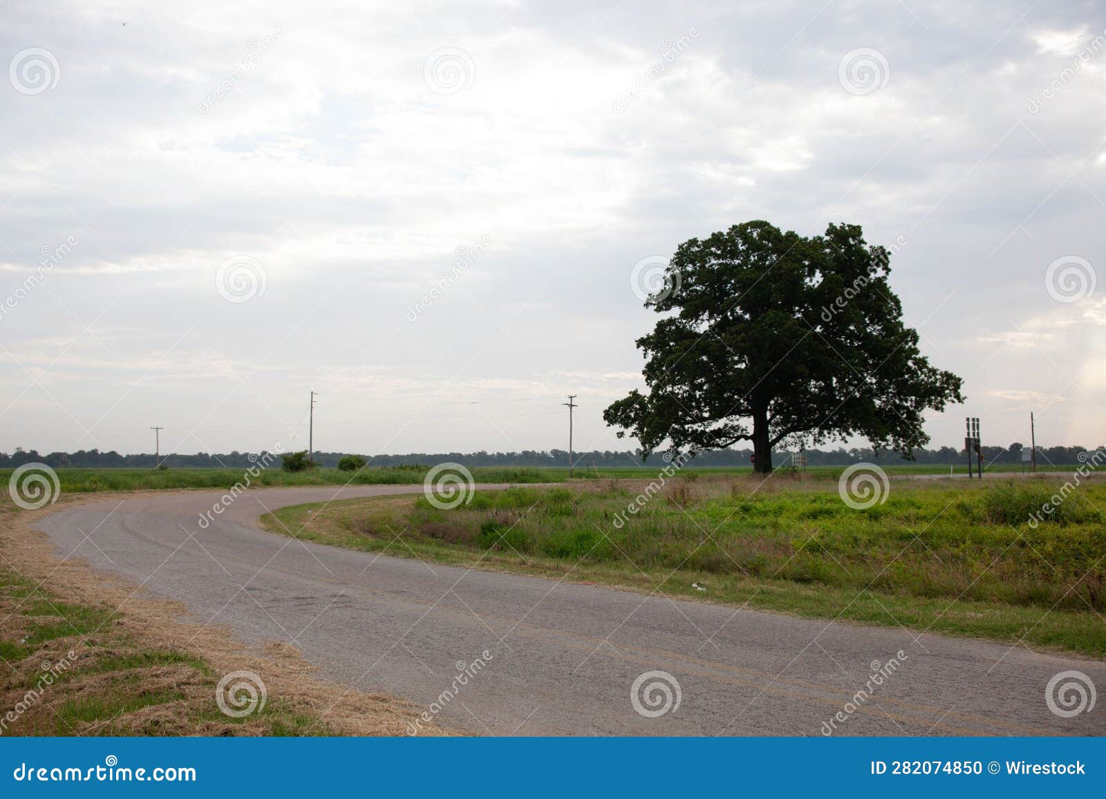 Single Tree in a Field by an Asphalt Road Stock Photo - Image of metal ...