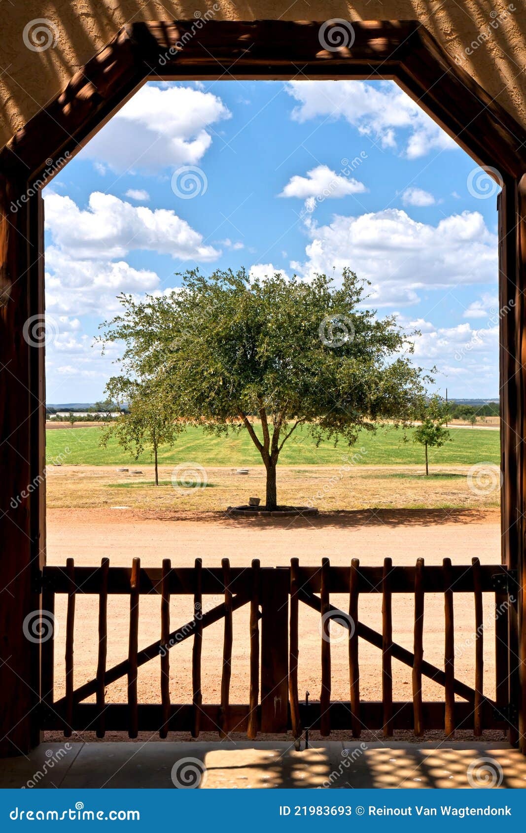 Single Tree Horizontal Stock Photo | CartoonDealer.com #15824010