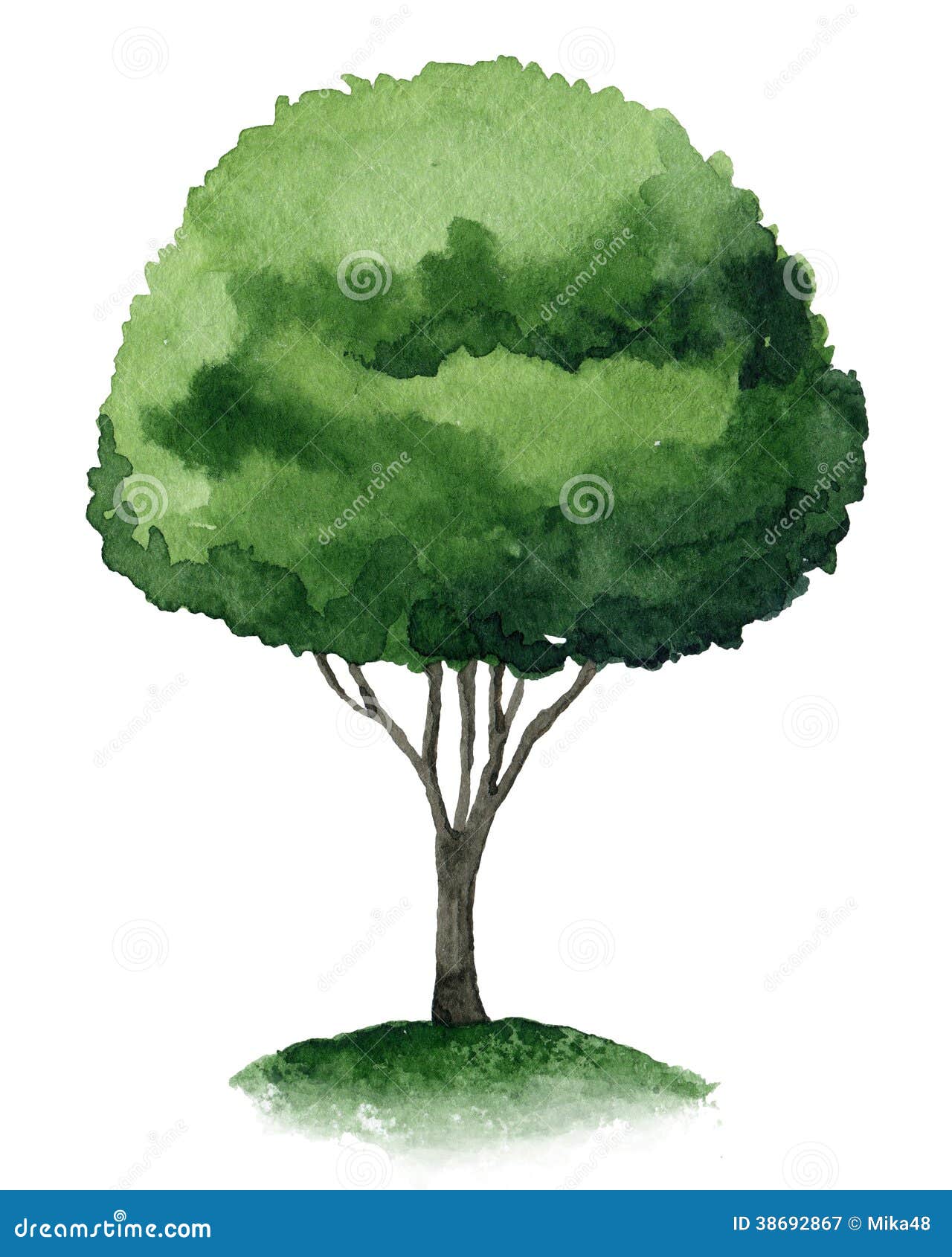 Single tree stock illustration. Illustration of large - 38692867