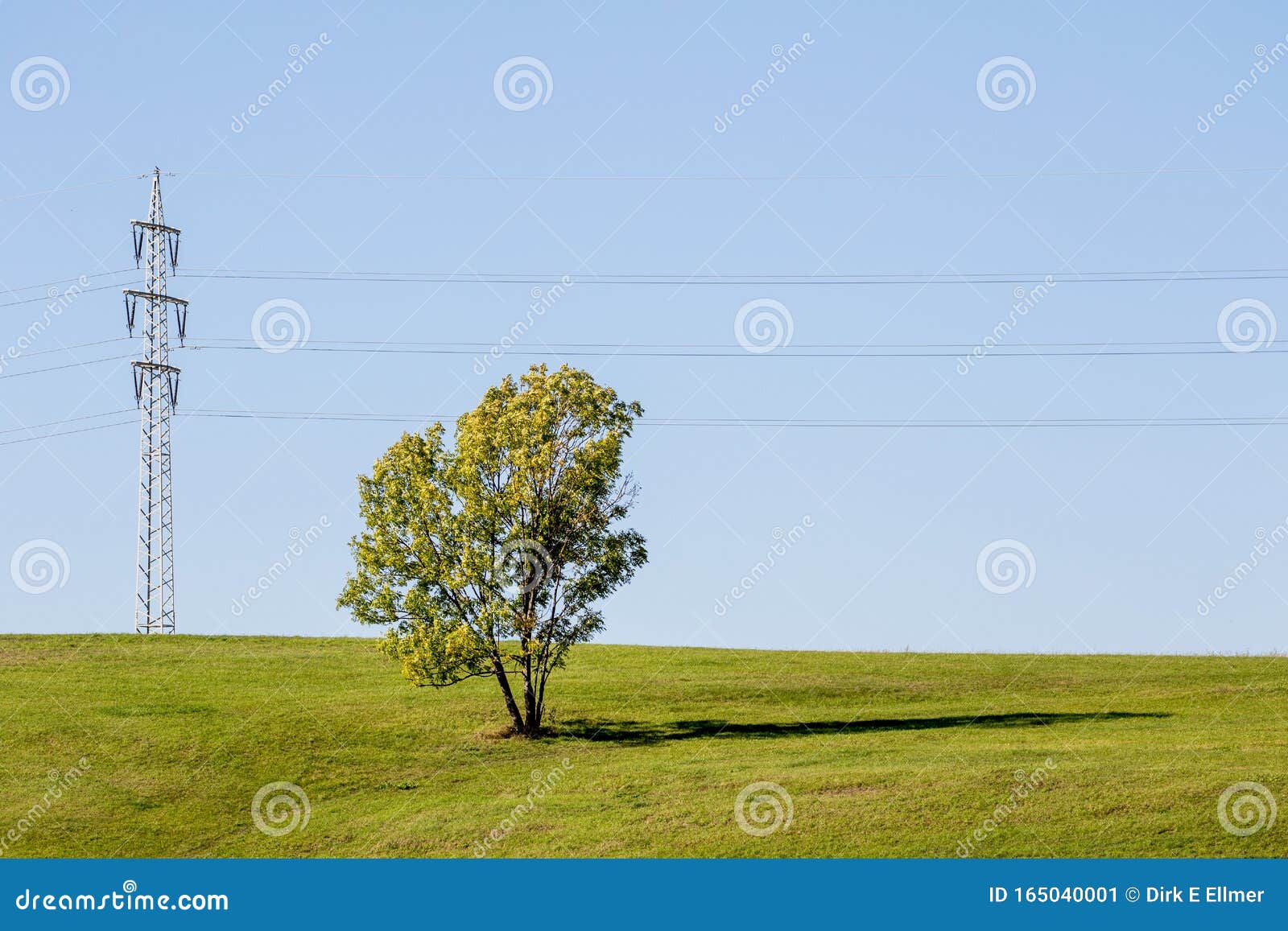 Tree in Front of a High Voltage Power Line Stock Image - Image of high ...