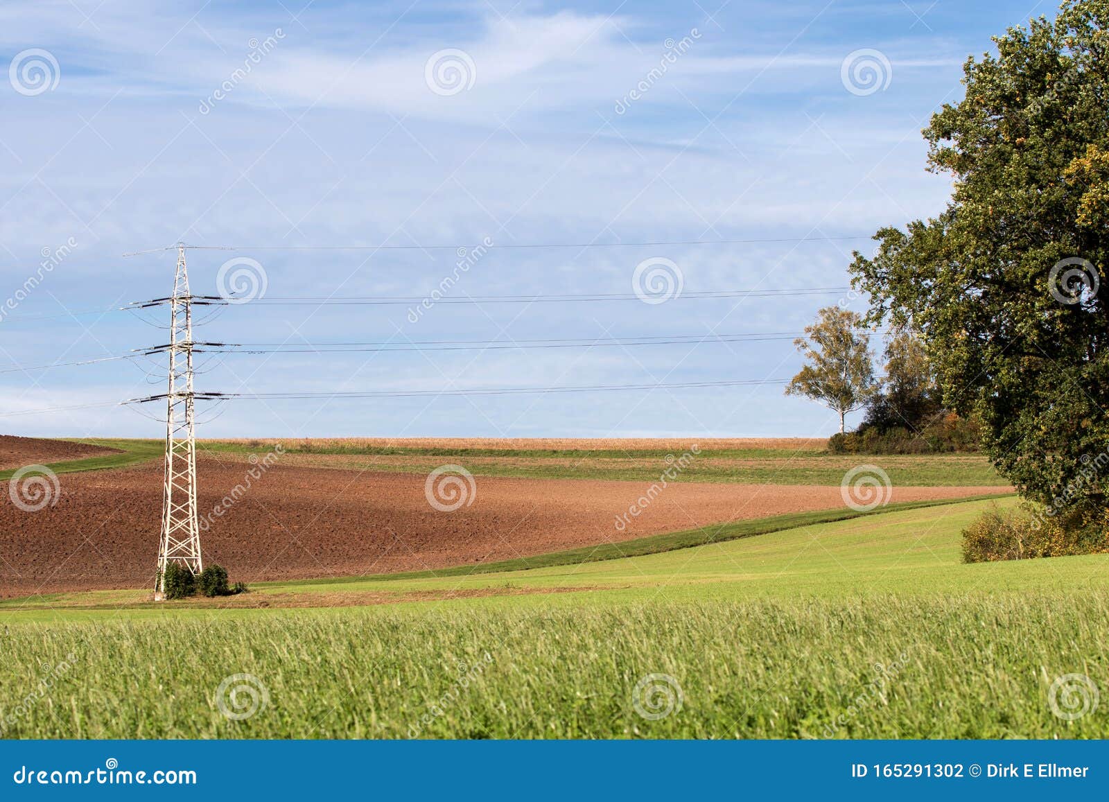 Tree in Front of a High Voltage Power Line Stock Photo - Image of field ...