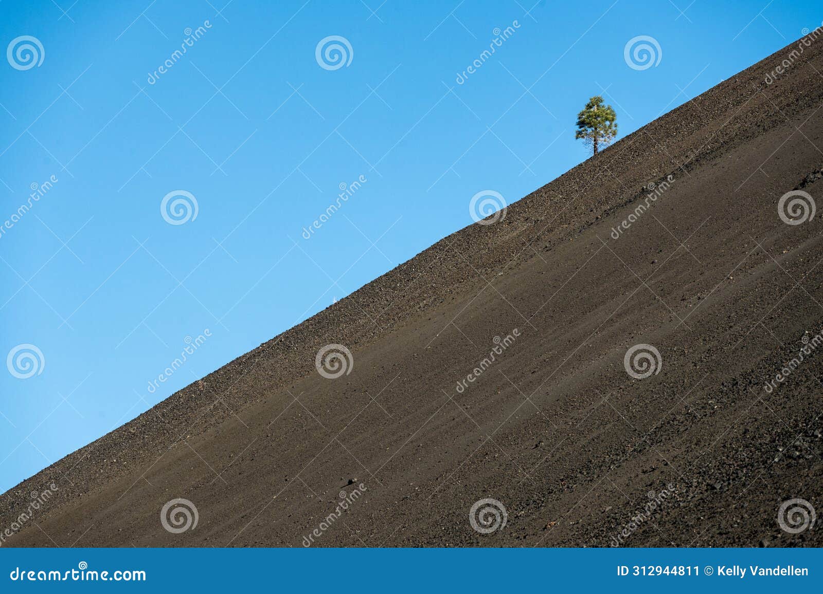 Single Tree Grows on Steep Slope of Mount Lassen Stock Image - Image of ...