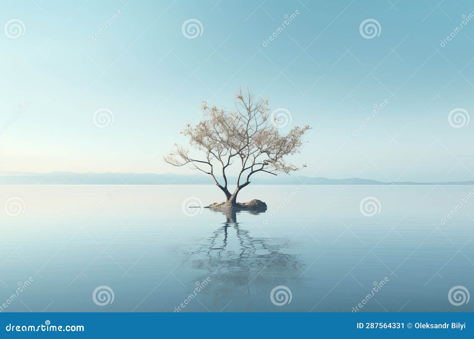 Single tree in the water stock image. Image of calm - 287564331