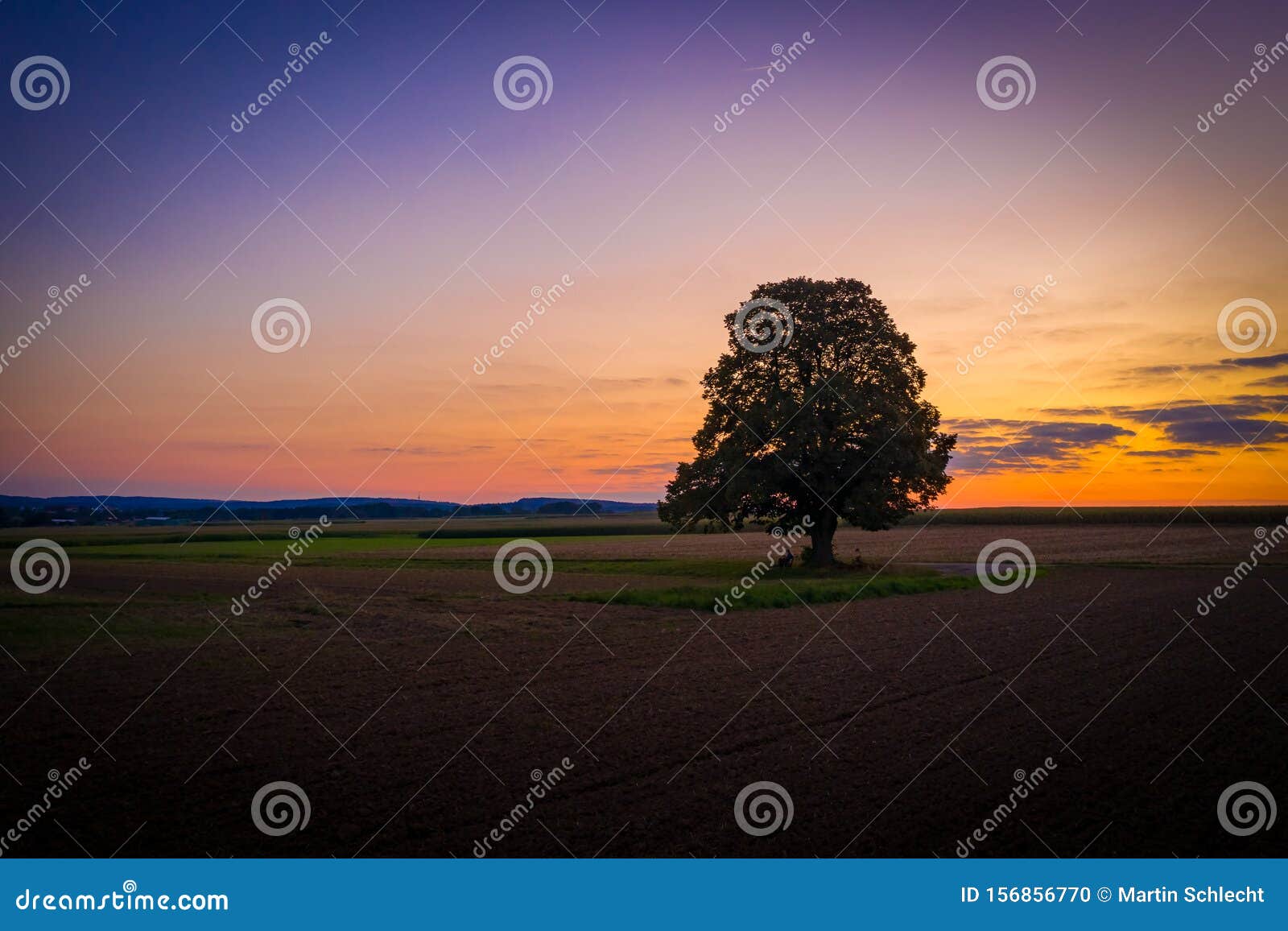 Single Tree in Landscape at Dawn Stock Photo - Image of outdoor, nature ...