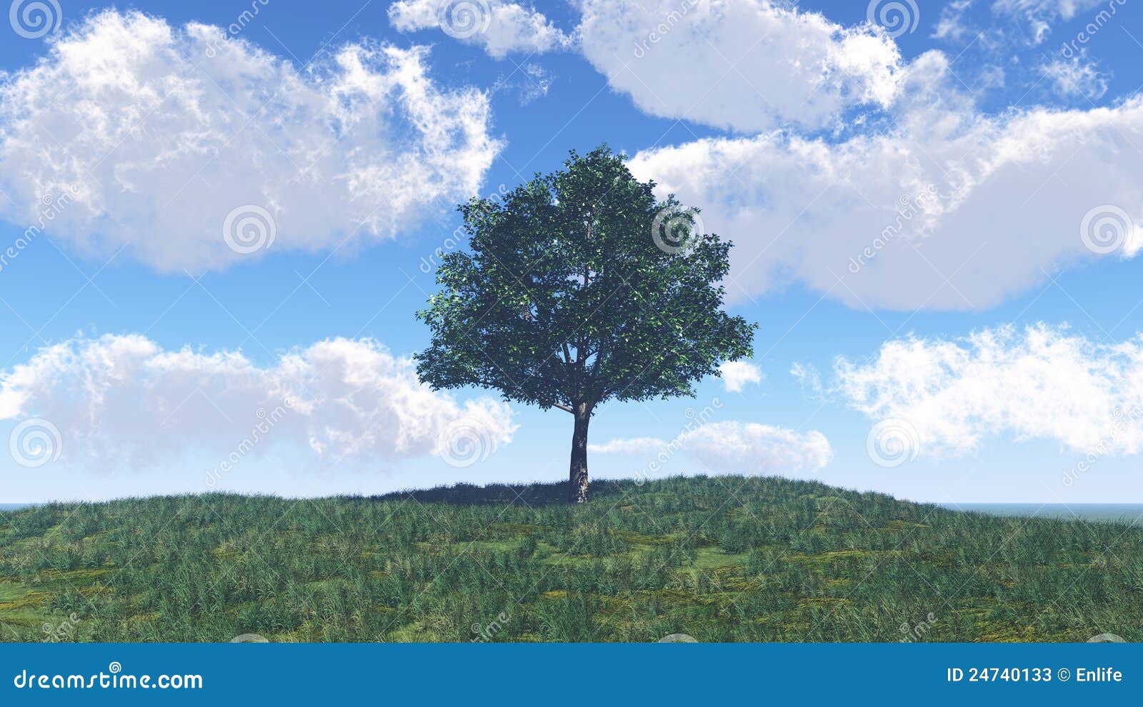 Single tree on the meadow stock image. Image of green - 24740133