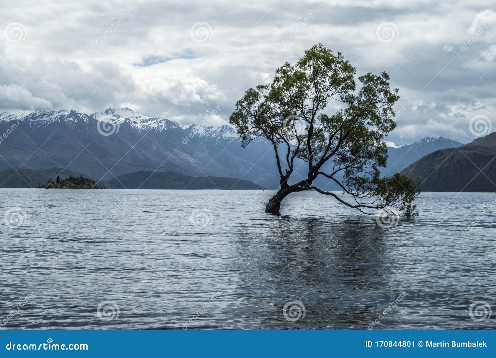 Single Tree in the Middle of Lake Stock Image - Image of breathtaking ...