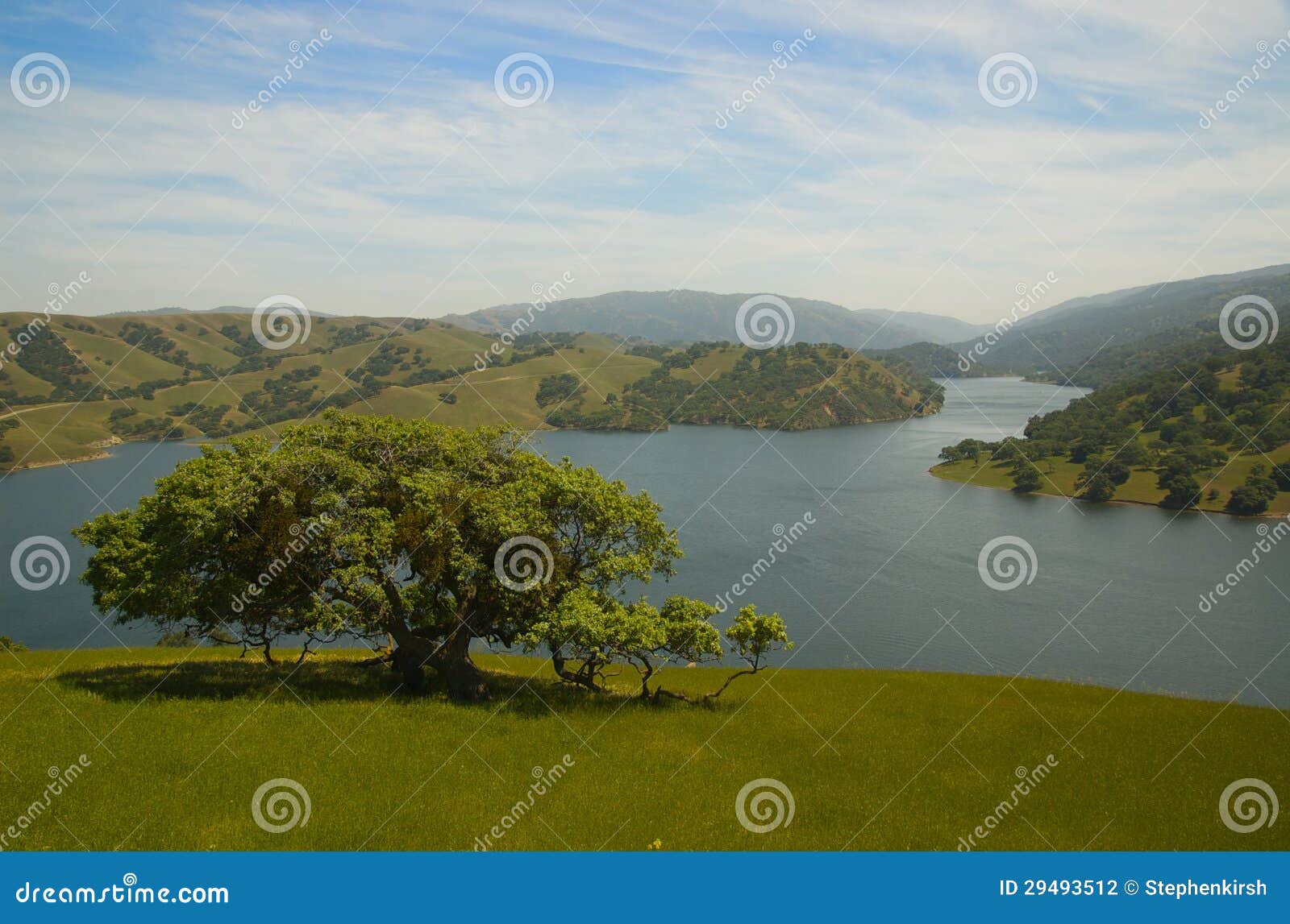 Single Tree Near Large Reservoir Lake on a Cloudy Day Stock Photo ...