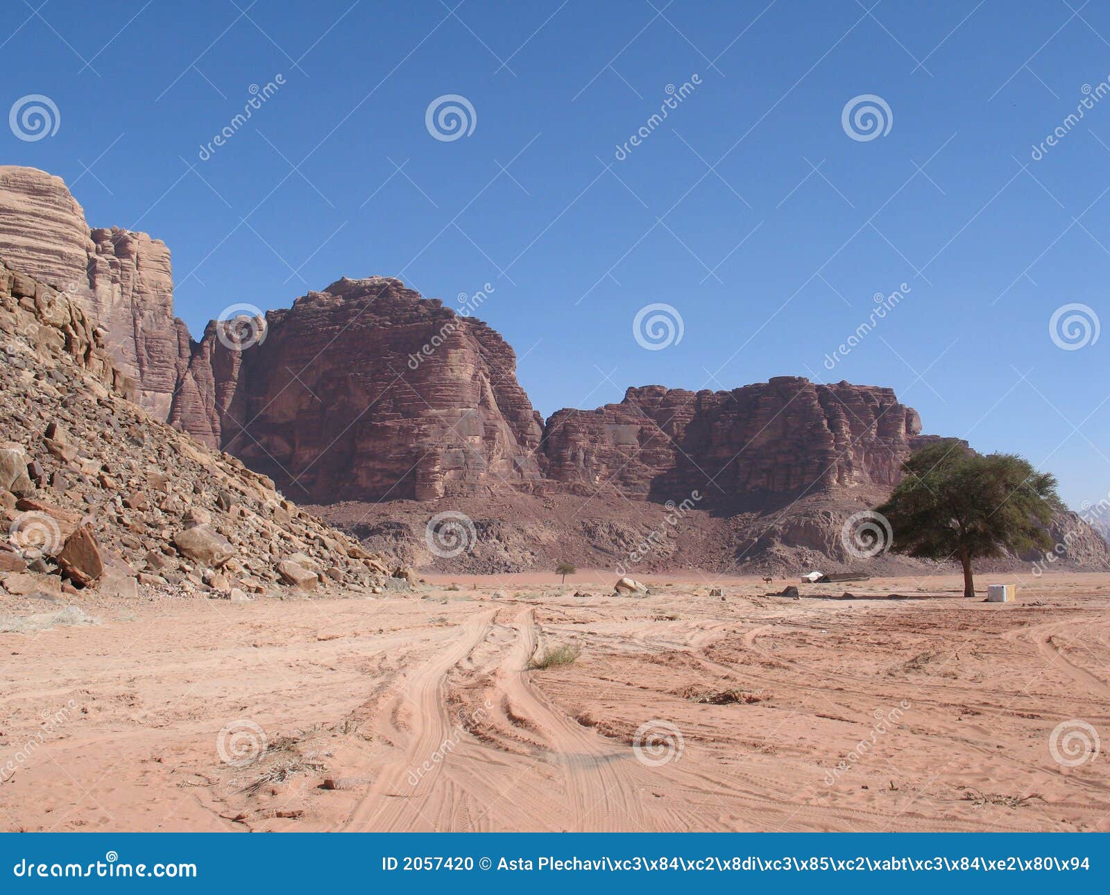 Single Tree and Road Wadi Rum Stock Photo - Image of heat, dune: 2057420