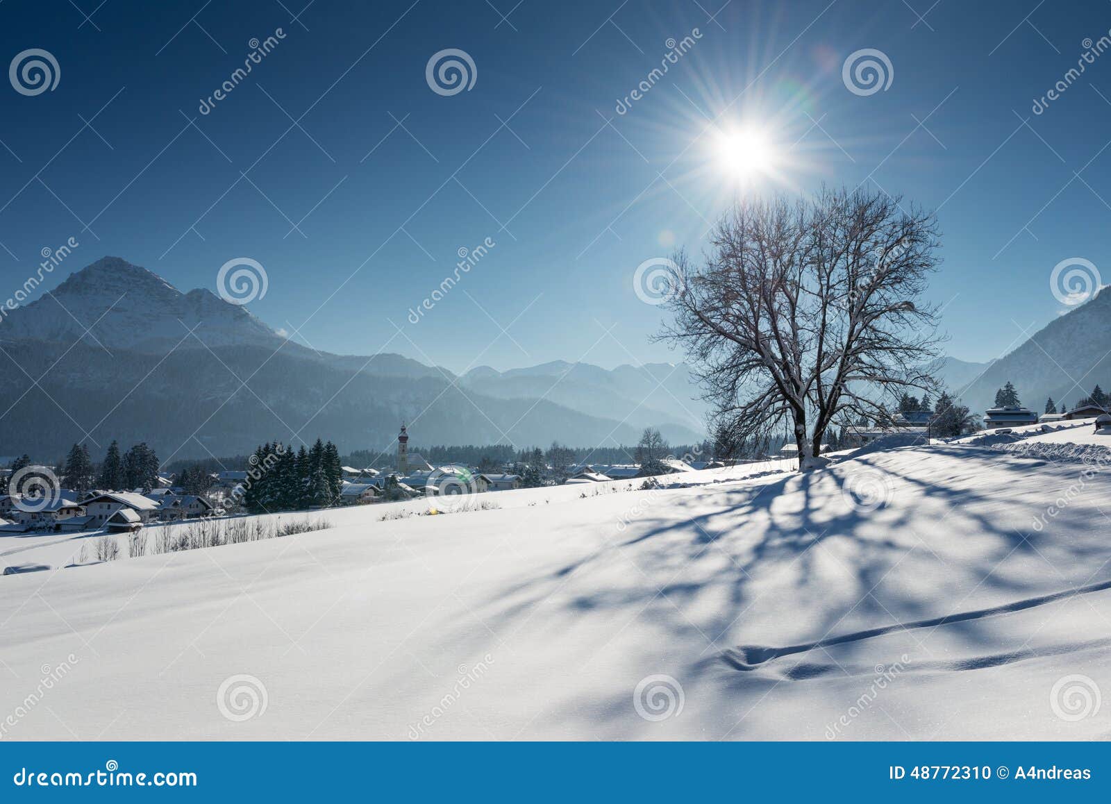 Single Tree in Snow Landscape Stock Photo - Image of beams, natural ...