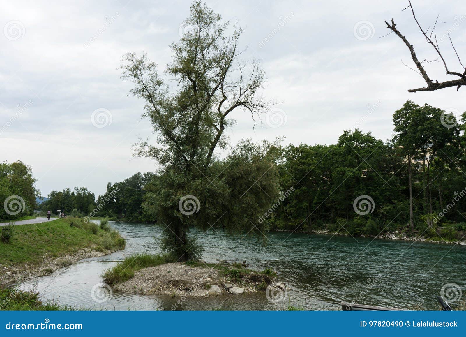Single Tree Standing in the River Stock Photo - Image of calm, field ...