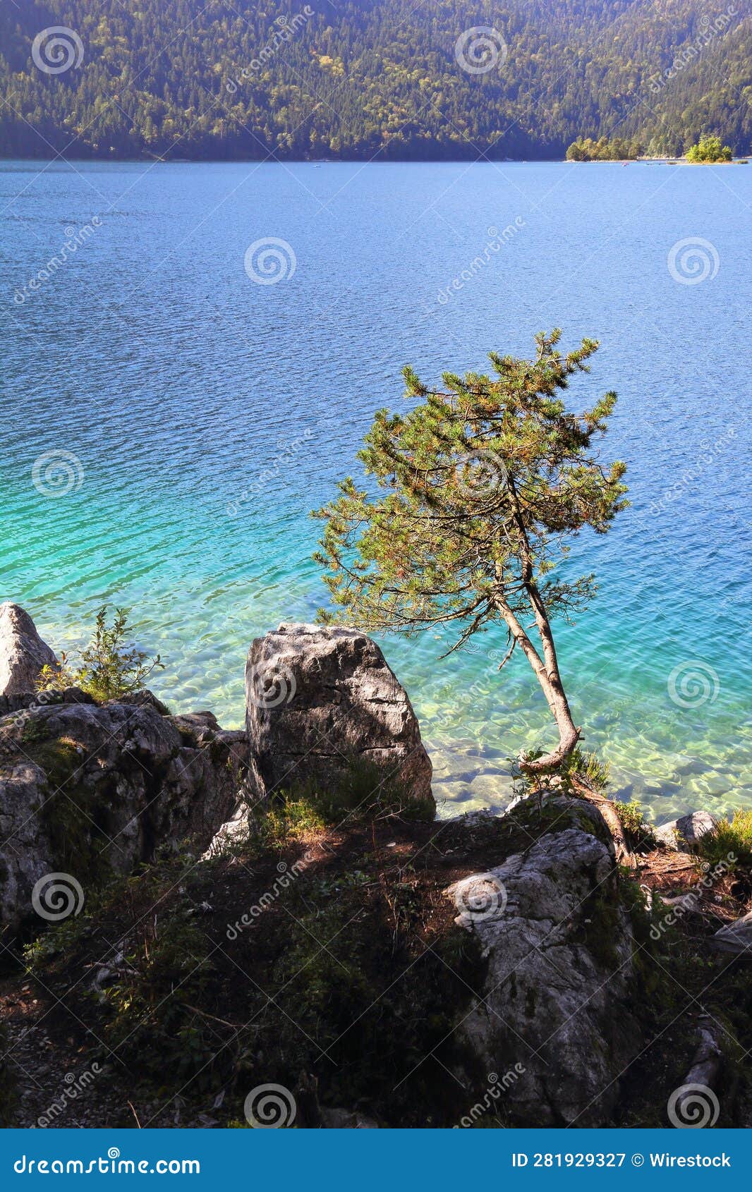 Single Tree Stands Atop a Hillside Overlooking the Tranquil Eib Lake in ...