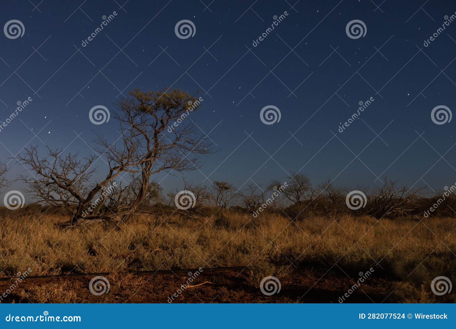 Single Tree Stands in the Foreground of an Eerie Landscape, Illuminated ...
