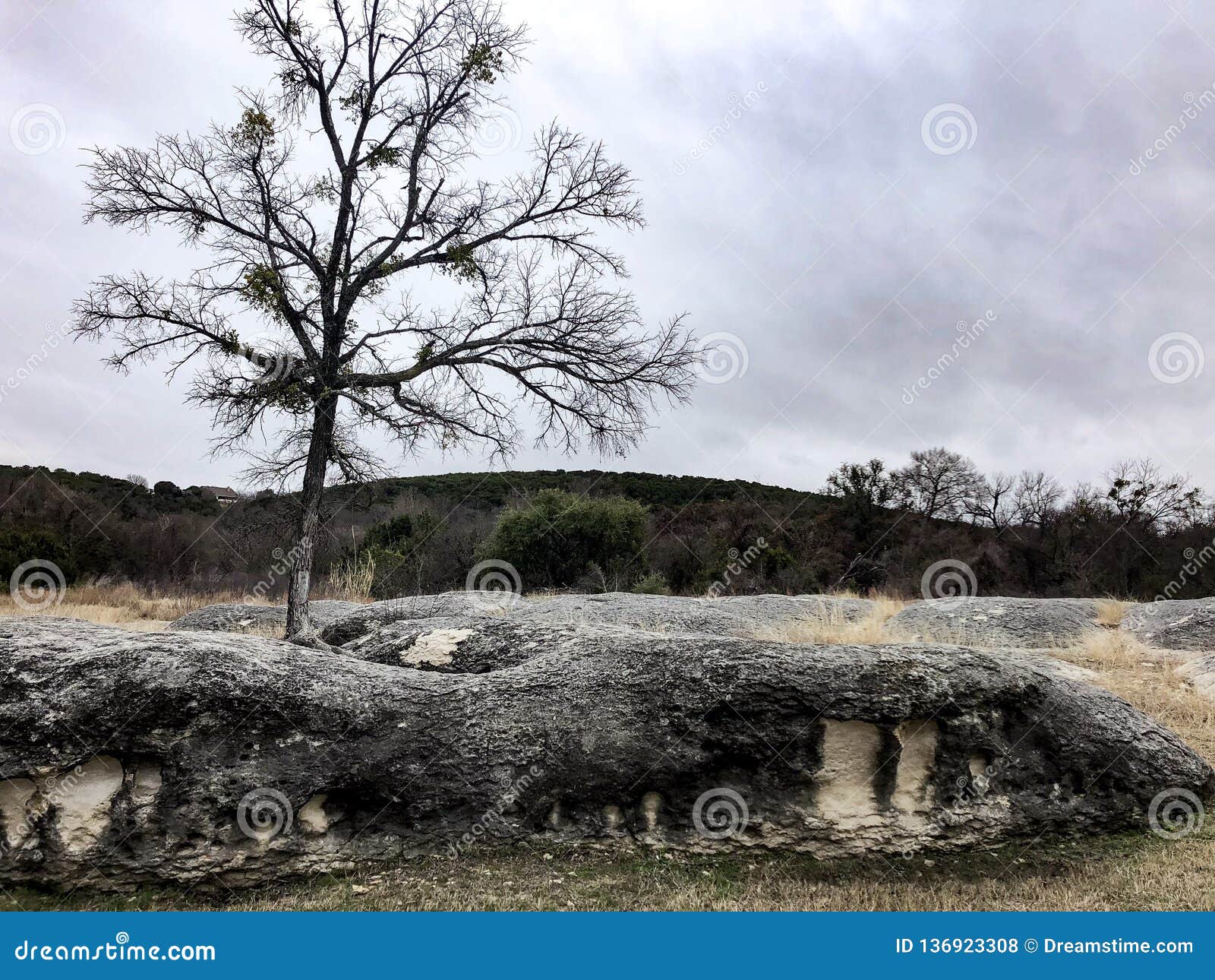 Single Tree on Top of a Giant Rock Stock Photo - Image of metal ...