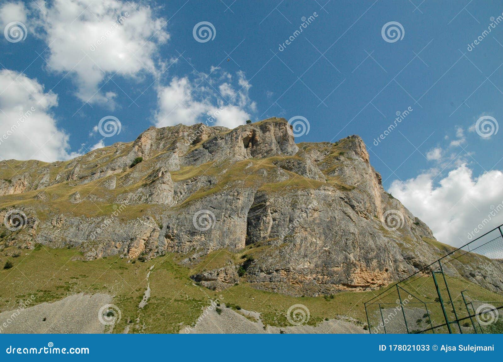 A Single Tree at the Top of the Sar Mountain Stock Image - Image of ...