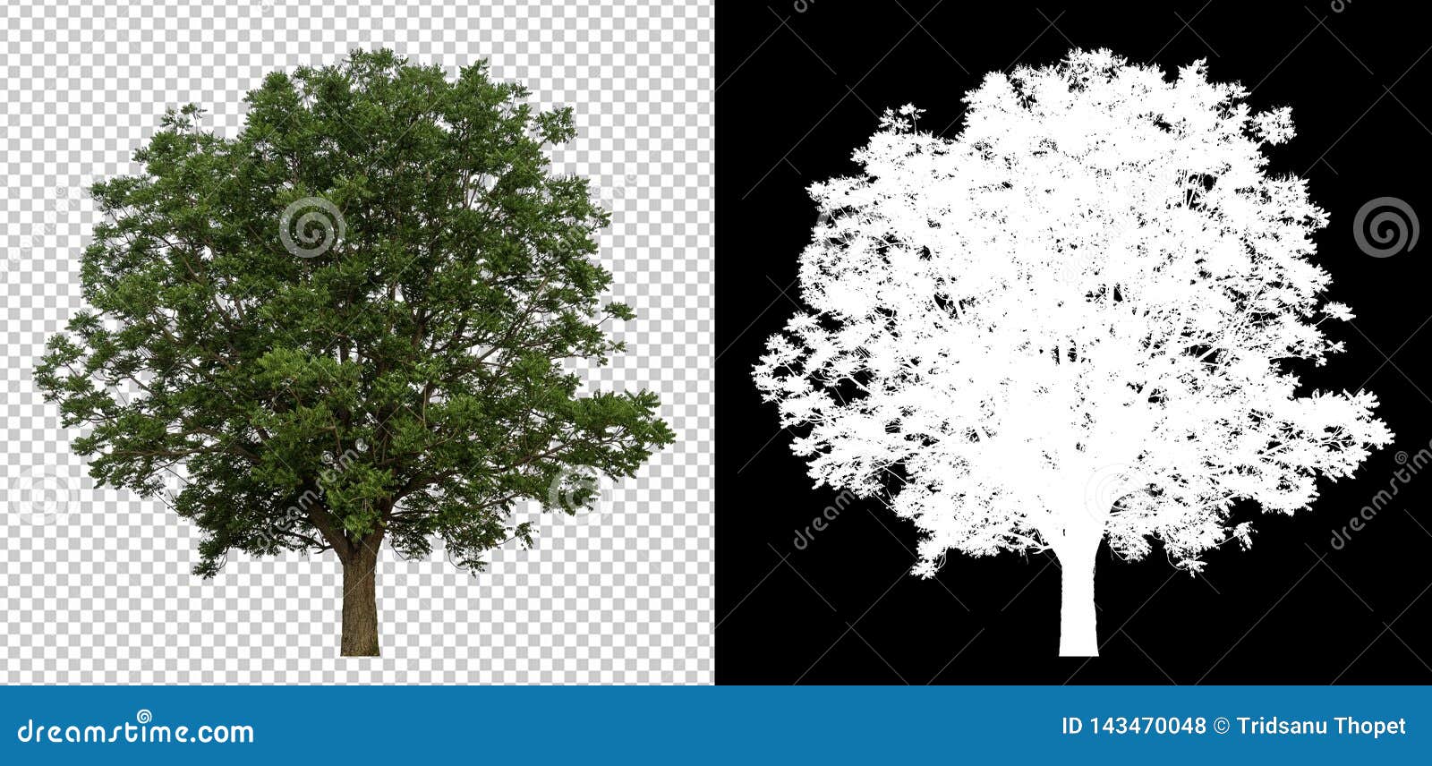 4,774 Alpha Silhouette Stock Photos - Free & Royalty-Free Stock Photos ...