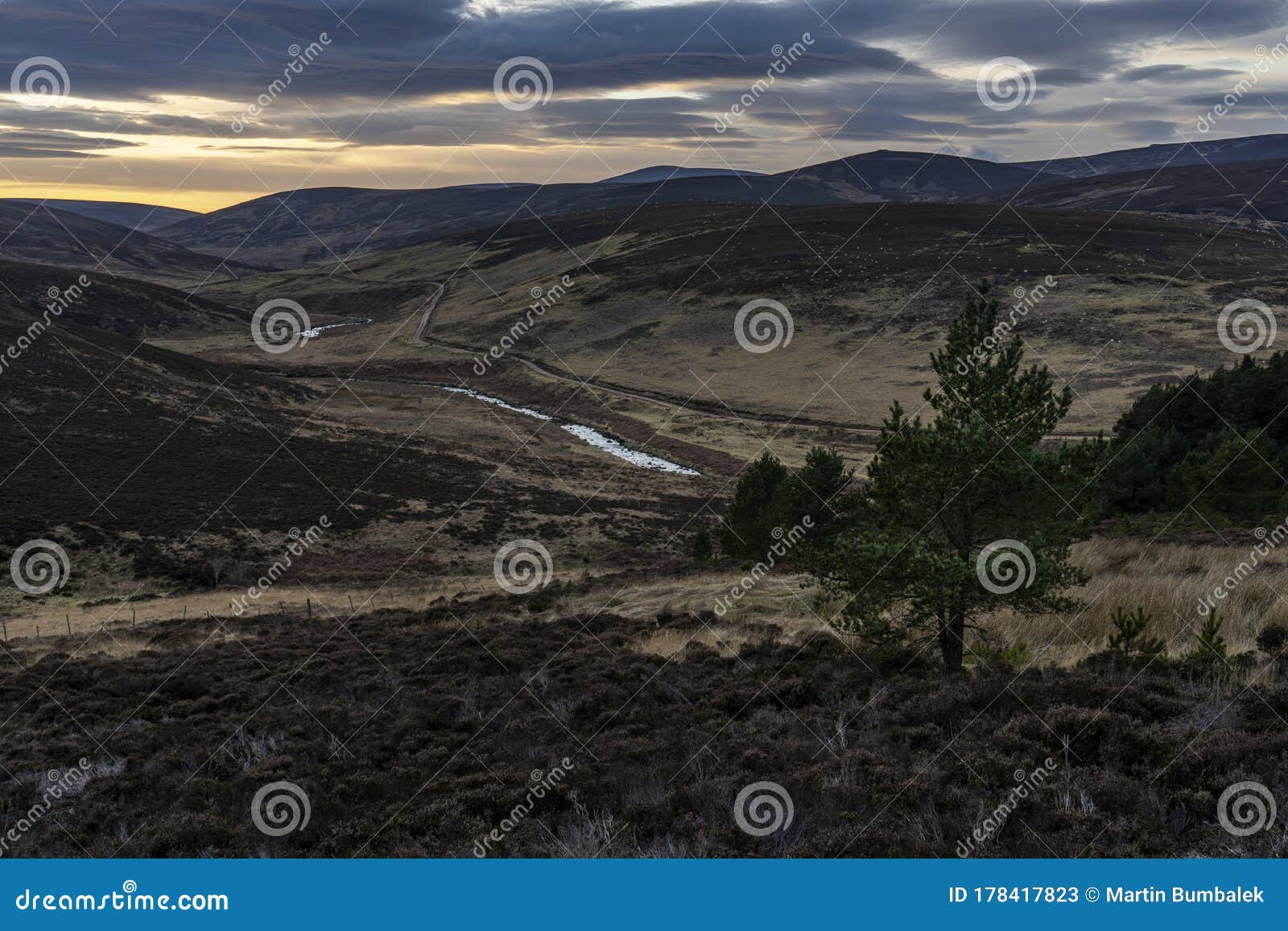 Single Tree with Valley and a Background Stock Image - Image of ...